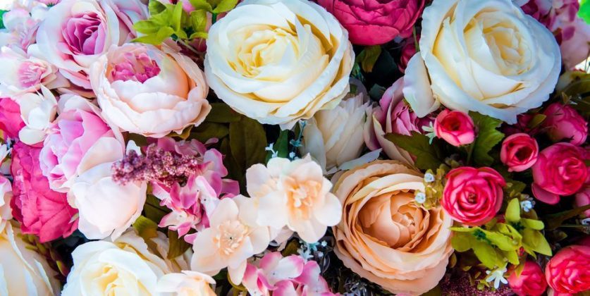 14 hermosas flores con significados sorprendentes